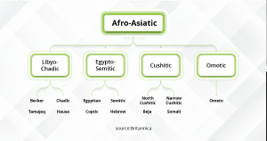 Languages Spoken in Somalia: Discover the Voice of a Nation