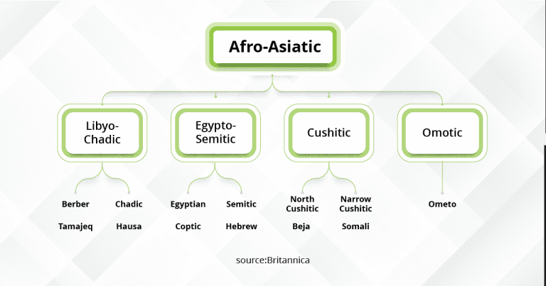 Languages Spoken in Somalia: Discover the Voice of a Nation